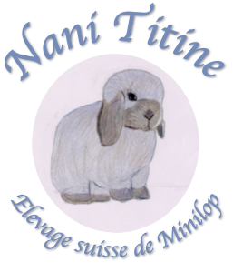 Accueil élevage Nani Titine lapin minilop